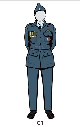 Mission Air Cadets - 521 Aurora